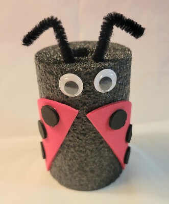 3 Lady Bug Pool Noodle Craft Kits DIY For Kids supplies for NO GLUE fun ...