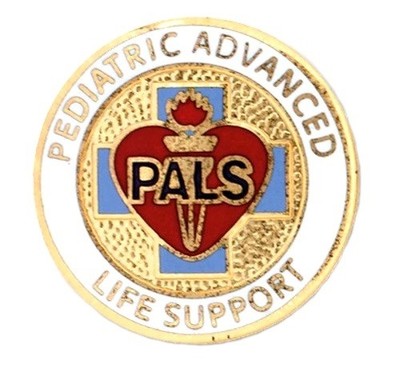 Pediatric Advanced Life Support Lapel Pin PALS Medical Emblem ...