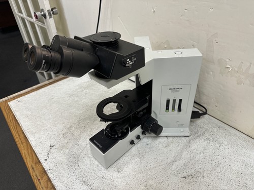 Olympus BX50 Fluorescence Microscope BX50F4 | eBay