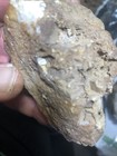 Rare Gold and silver Quartz Ore - High Grade Mineral Specimen 15 Oz ...