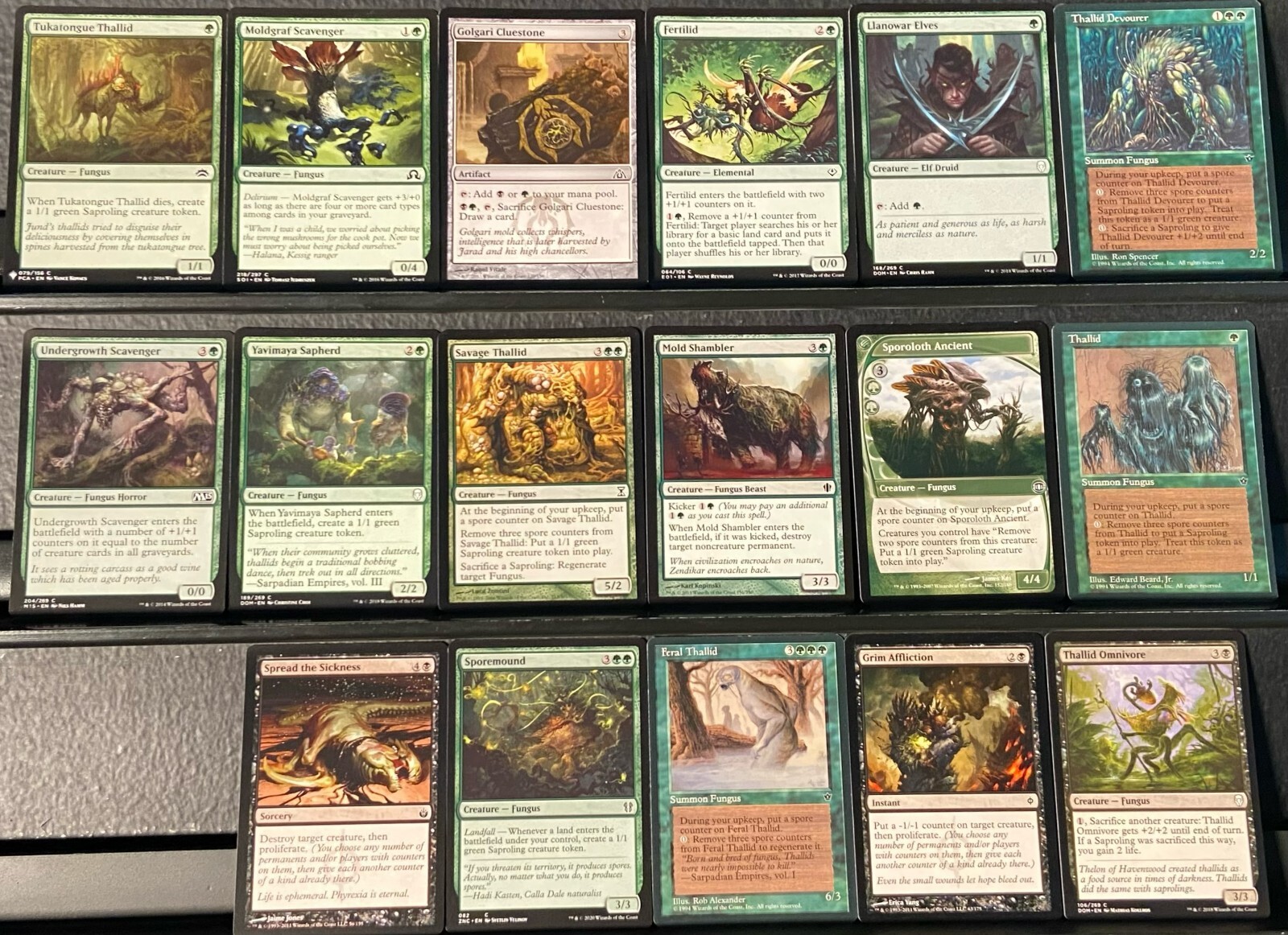 ***Custom Commander Deck*** Thelon of Havenwood - Fungus Tribal - EDH ...