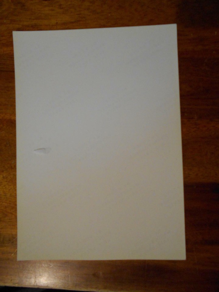 MING CHEW bodybuilding muscle ORIGINAL photo by Gene Mozee | eBay