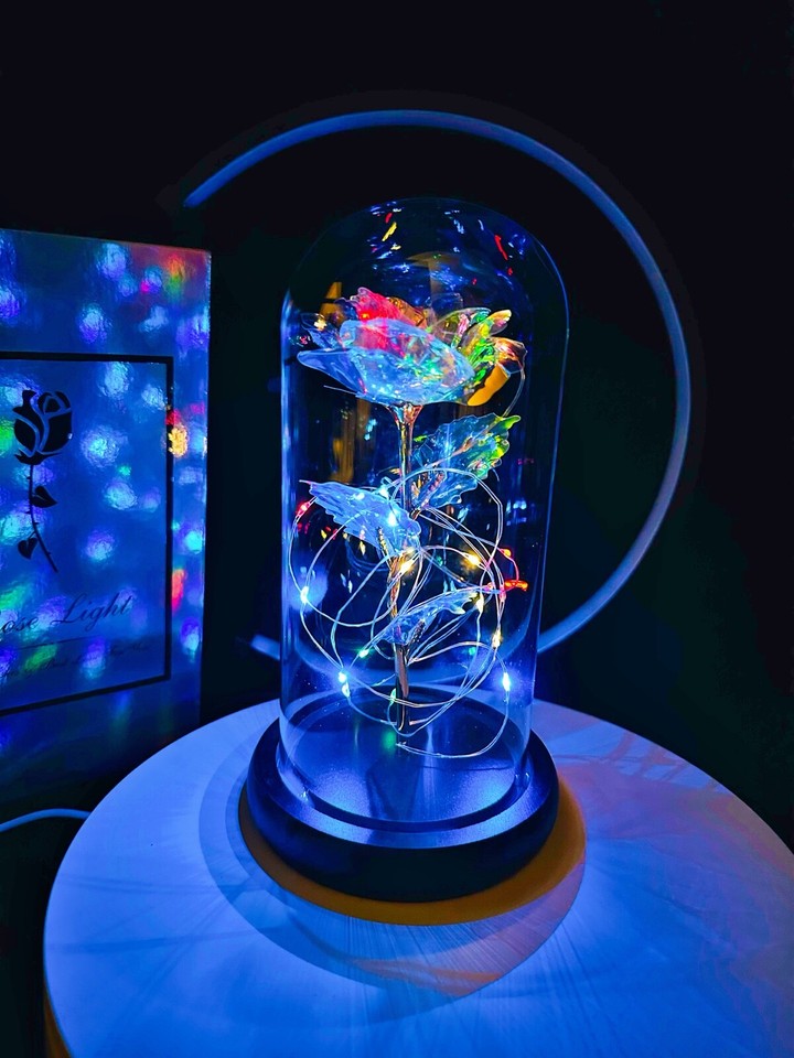 Brand New - Crystal Galaxy Enchanted LED Glass Forever Rose Home ...