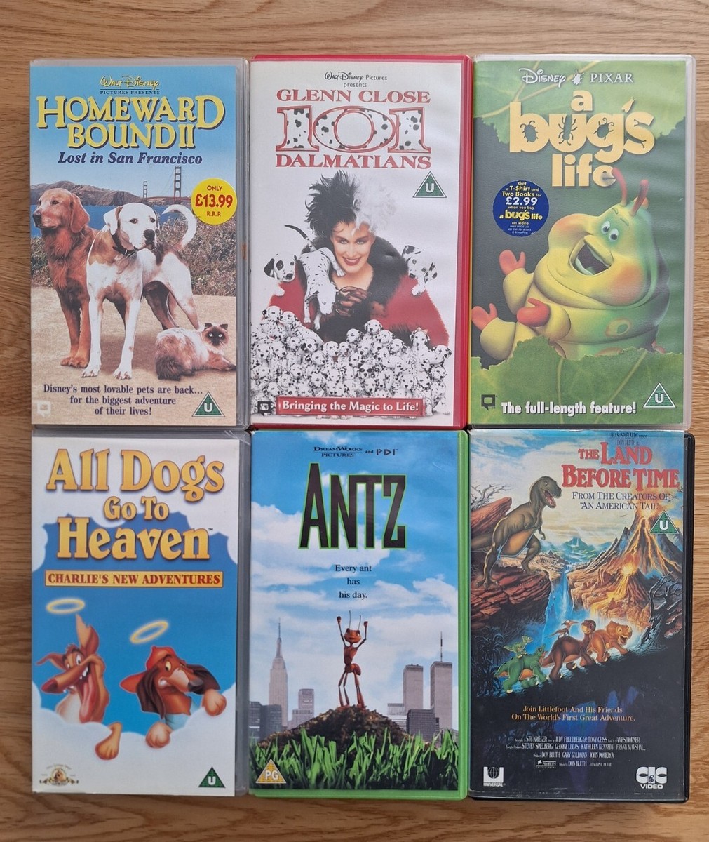 Must Have Movie Collection