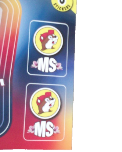 Mississippi Buc-ee's- Beaver Logo Stickers Set/3 MS State Shape: 5 ...