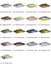 Rat-L-Trap Lipless Crankbait 1/2oz RT Any 169 Color Bill Lewis Rattle ...