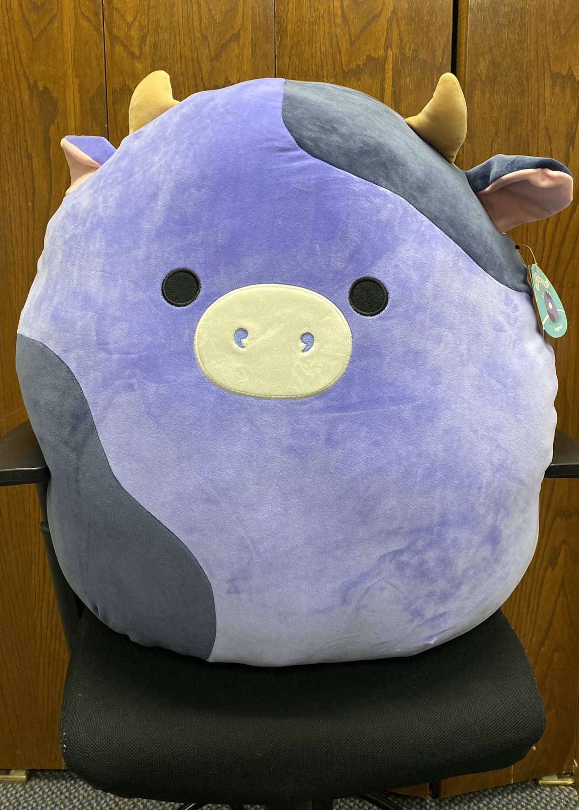 Squishmallows - On Ebay - Multiple Results on One Page