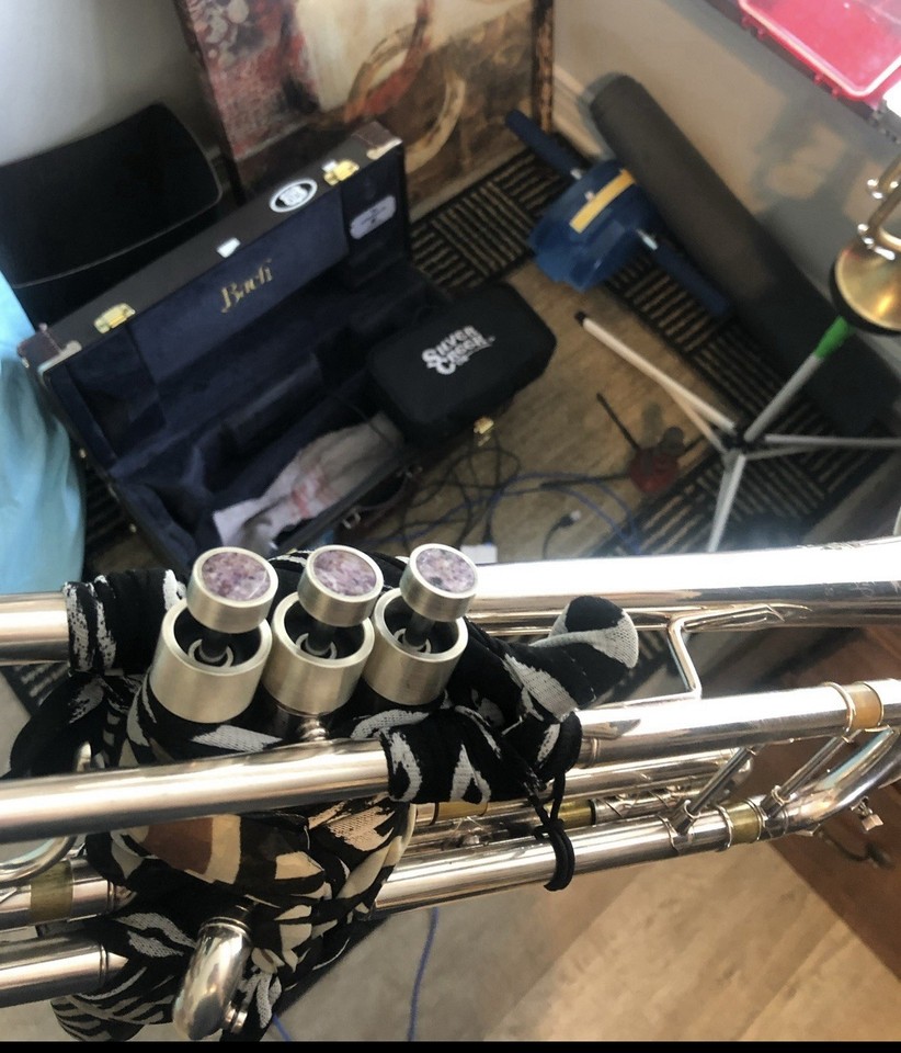 KGUBrass 998 Silver Heavyweight Trumpet Trim kit for Bach Strad/NY ...