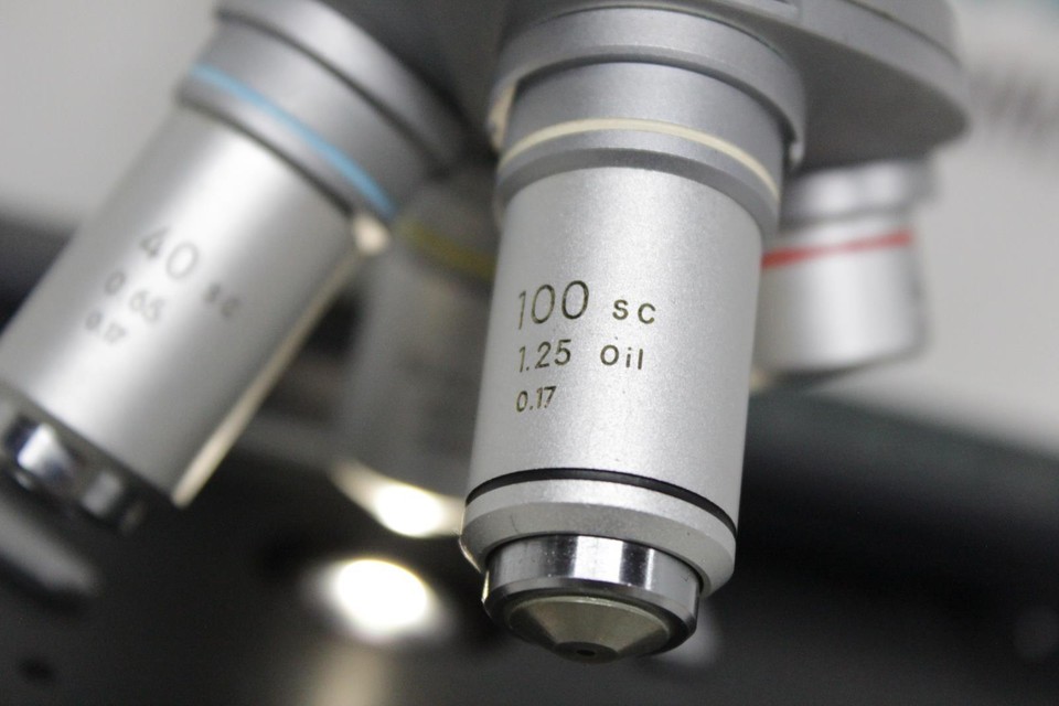 Nikon Binocular Biological Microscope w/ 4 Objectives | eBay