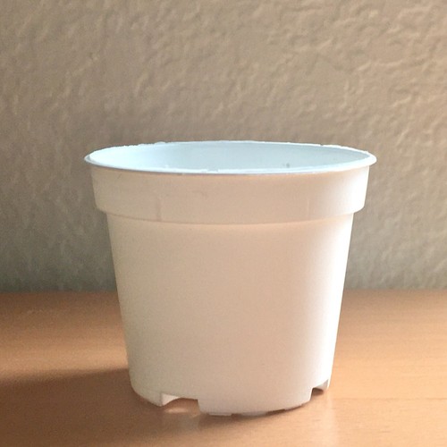 African Violet & Succulent 2 1/8 inch White Plastic Pots - Qty 10 | eBay