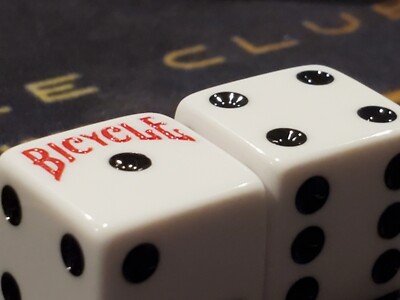 Loaded Dice Trick Dice Gaffed Dice Magic Dice Weighted Dice (6-ace ...