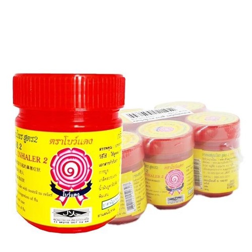 Thai Traditional Herbal Inhaler Relief Aromatherapy Dry Plant Herb 5gx6 ...