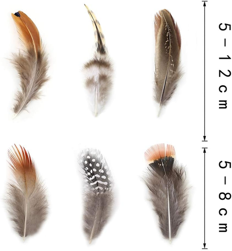180Pcs 9 Styled Natural Feathers Assorted Mixed Feathers for Jewelry ...