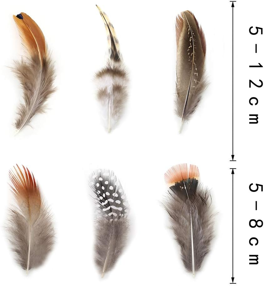 180Pcs 9 Styled Natural Feathers Assorted Mixed Feathers for Jewelry ...