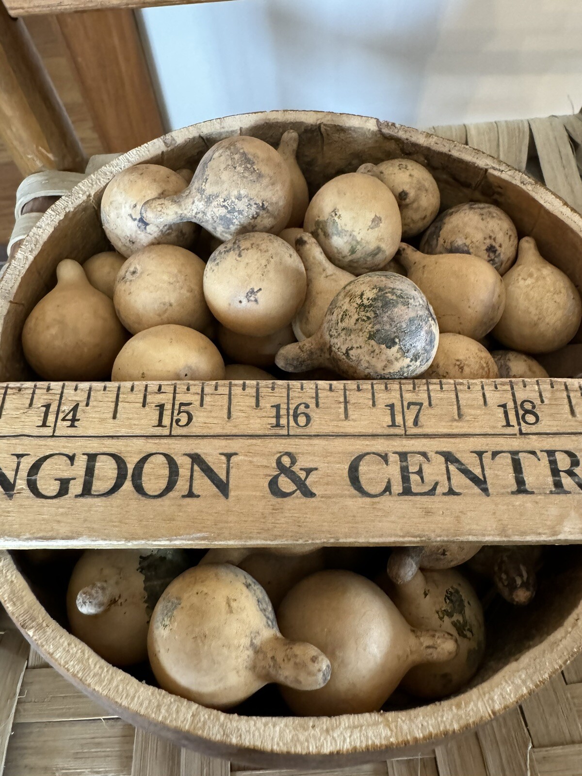 100 Small And Medium Grungy Tennessee Spinner Gourds Prim Colonial ...