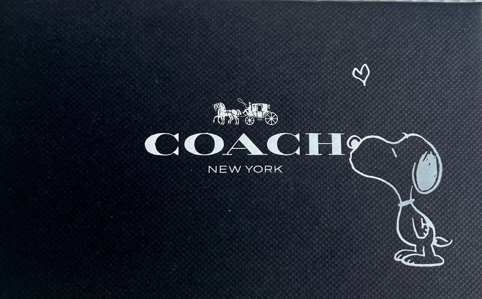 2017 Coach x Peanuts Boxed Snoopy Bag Charm NEW IN BOX | eBay