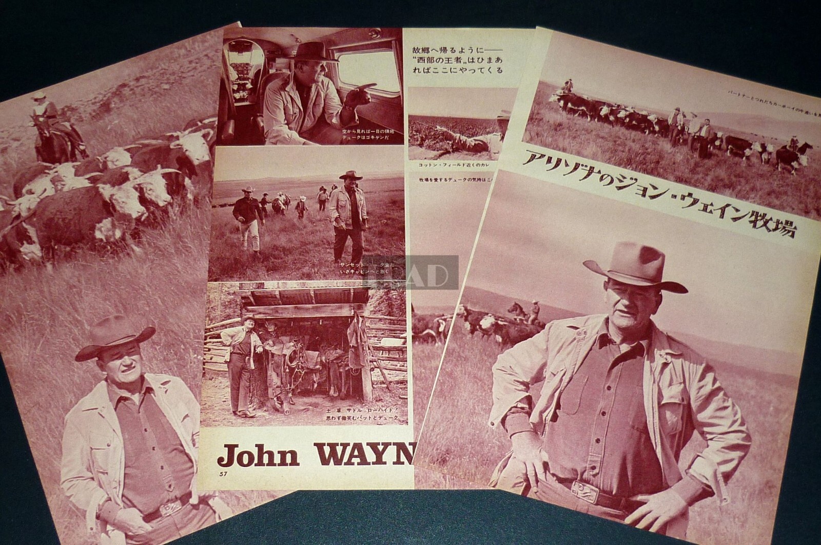 JOHN WAYNE at His Ranch in Arizona 1966 JPN Picture Clipping 3-SHEETS ...
