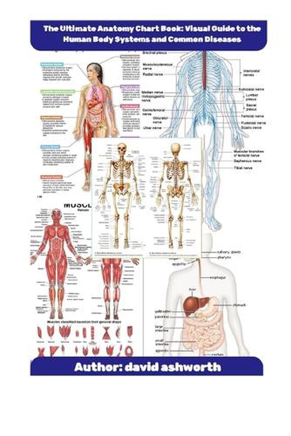 The Ultimate Anatomy Chart Book: Visual Guide to the Human Body Systems ...
