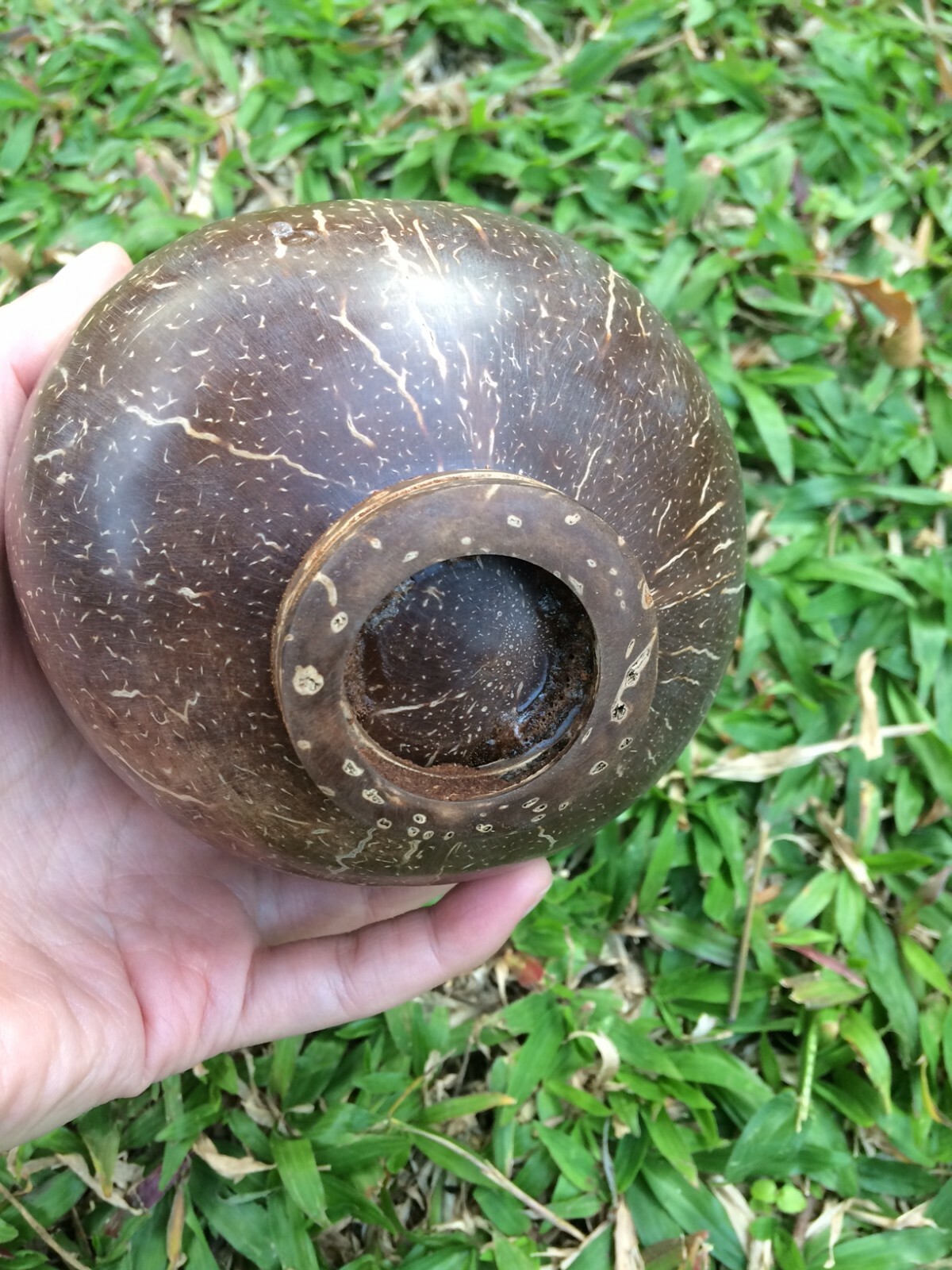 Natural Coconut Shell Bottle Liquid Dispenser Pump Thai Handicraft | eBay