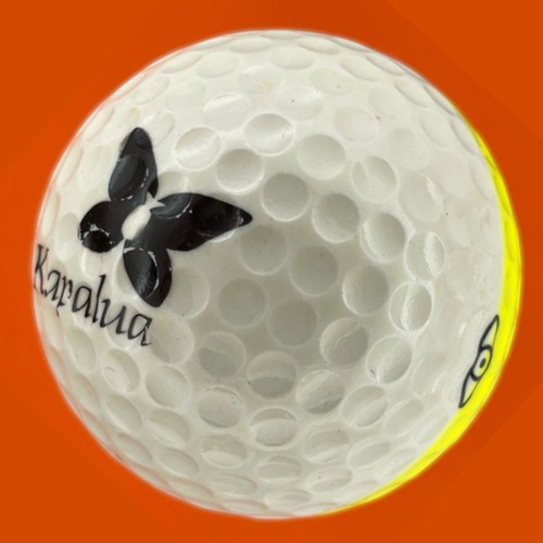 *RARE* Vintage PING Eye White & Yellow 2 Toned KAPALUA Golf Ball NEAR ...