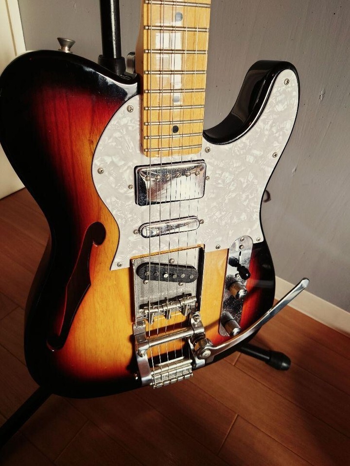 Fender Japan Thinline Telecaster Fujigen Bigsby USA Vintage Electric ...