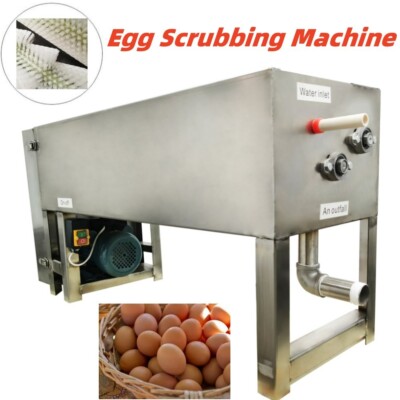 Auto Egg Washing Machine Small Egg Scrubbing Machine Duck Egg Cleaning ...