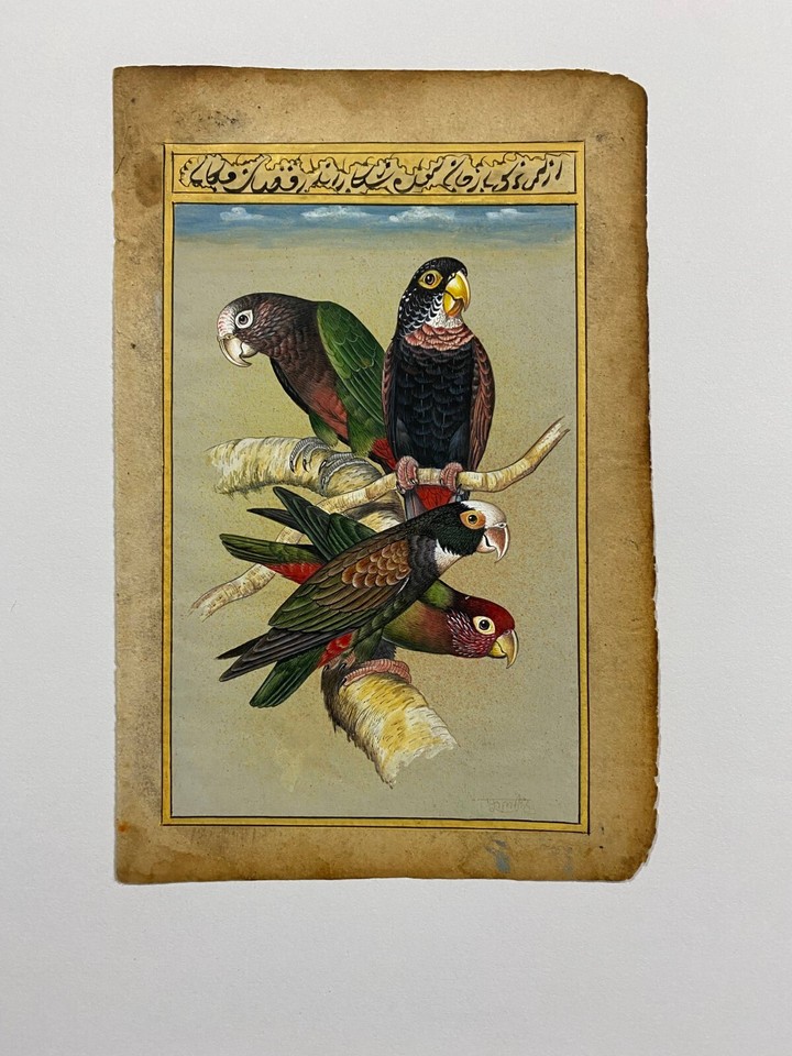 Indian Birds Painting Art | Wall Hanging | Gift | Art | Intricate ...