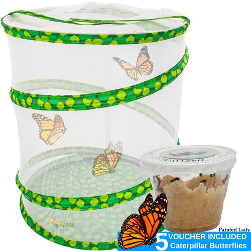 Butterfly Growing Garden Habitat Kit Pop Up Caterpillar Enclosure Net ...