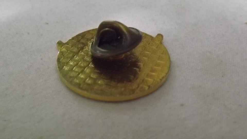 American Association Classified School Employees Lapel Hat Pin | eBay