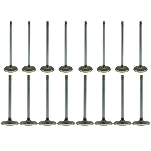 Intake & Exhaust Valves Set 16 for Some 1961-76 Ford Mercury FE 352 360 ...