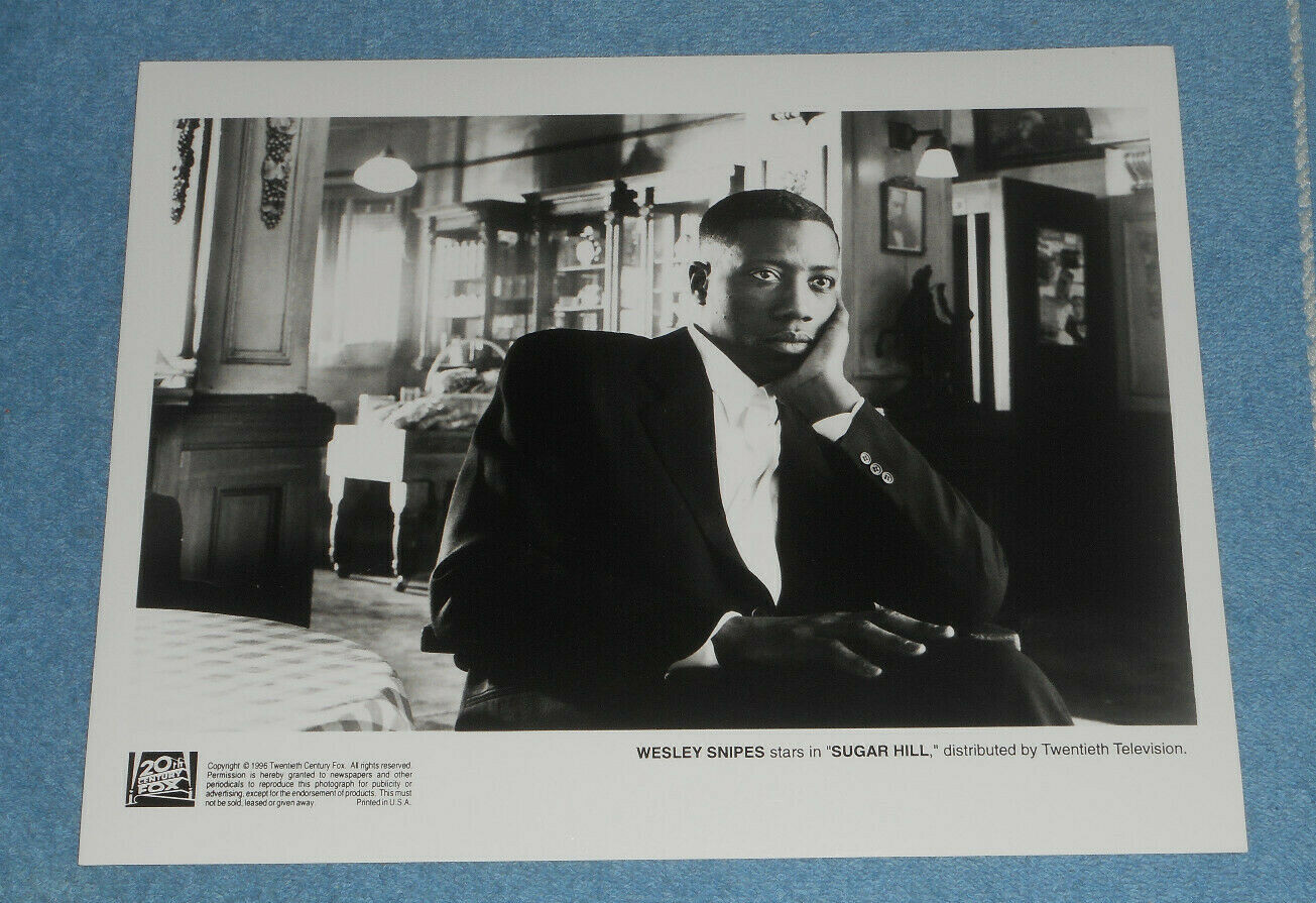 Foxes White Coats Album Cover