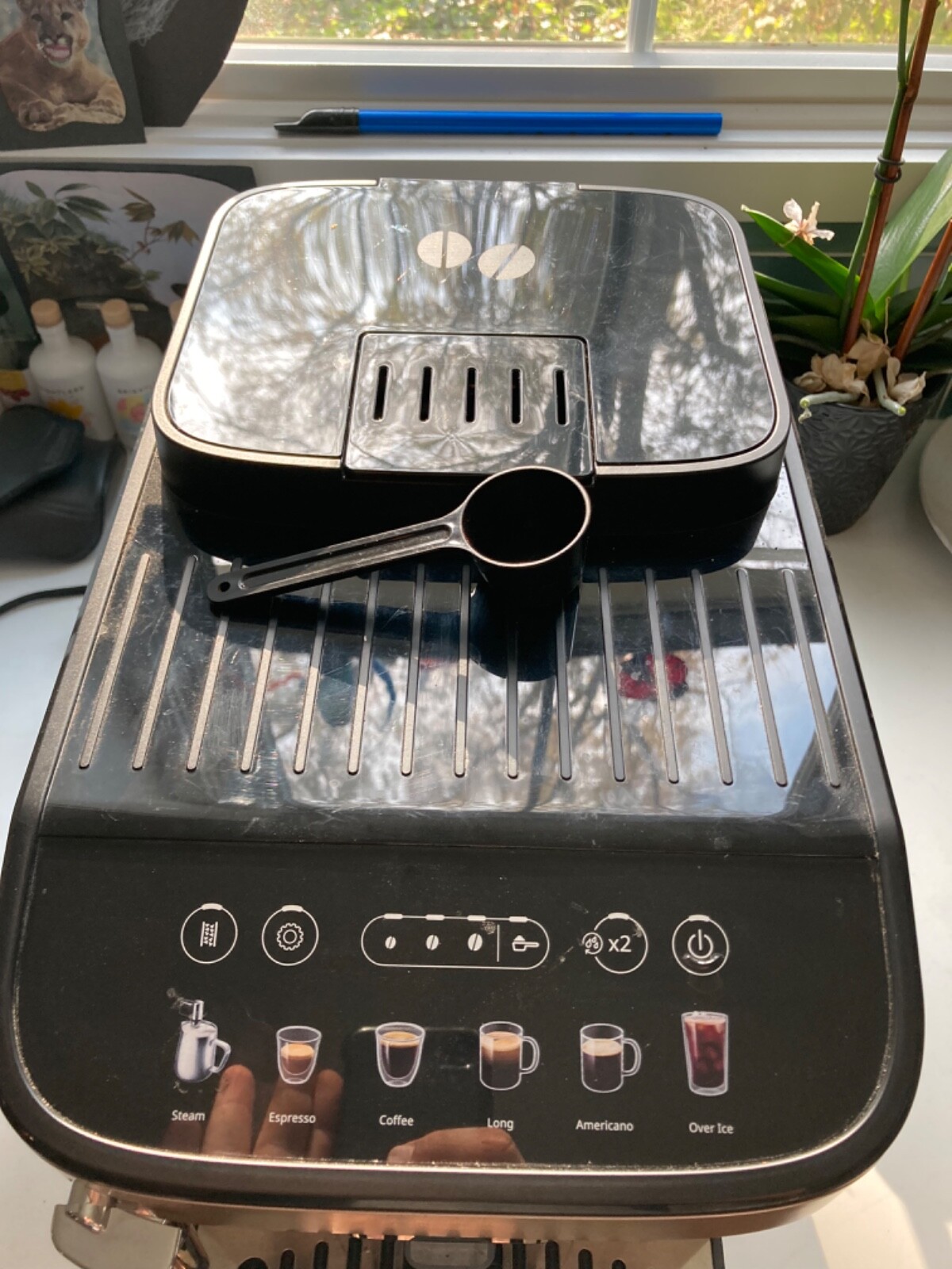 1 year used magnifica evo espresso machine makes delicious espresso | eBay