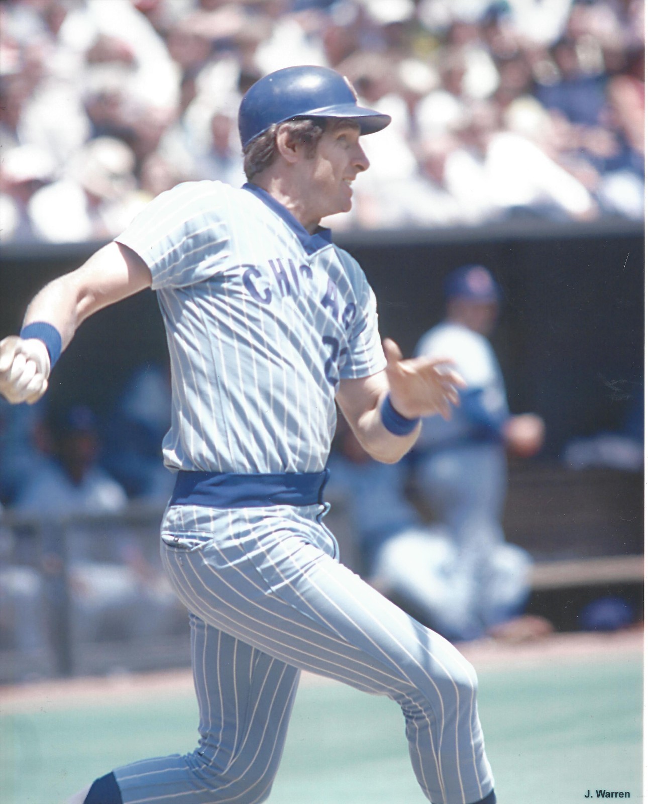 8x10 photo baseball Larry Biittner, Chicago Cubs | eBay