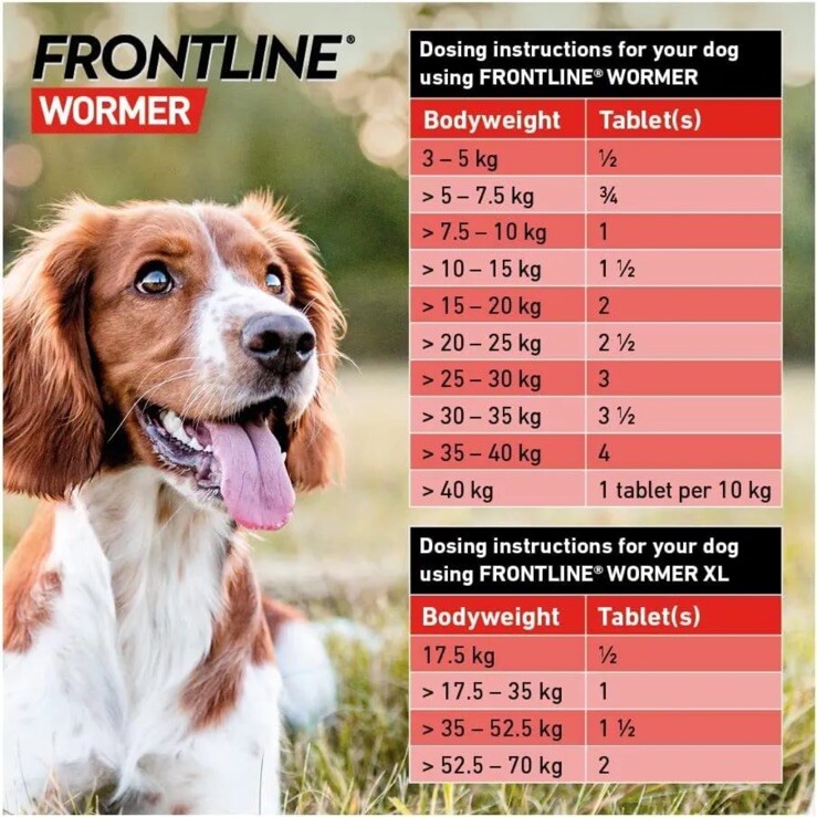 FRONTLINE WORMER - XL Worming Tablets for Dogs - 2 Tablets | eBay UK