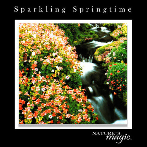 Sparkling Springtime by Nature's Magic | eBay