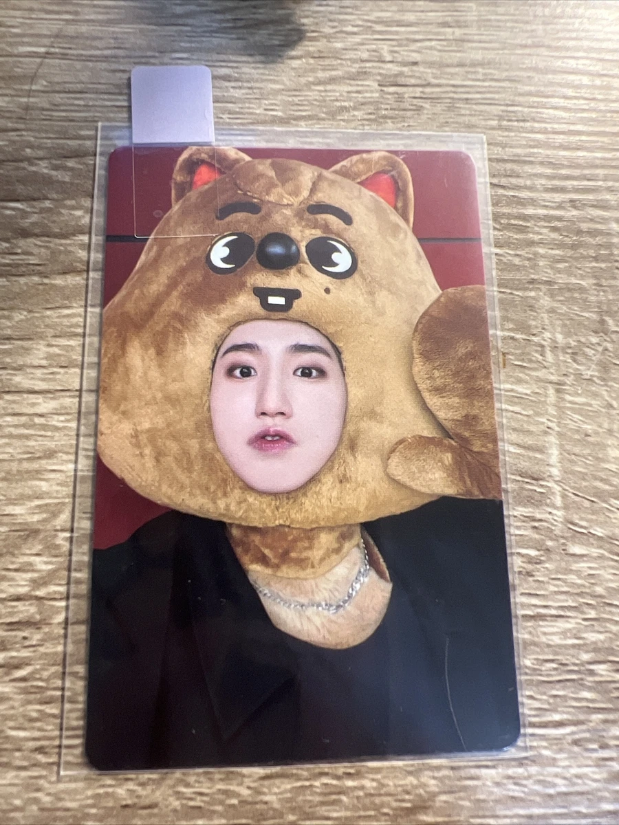 Stray Kids Maxident JYP SHOP SKZOO HAN Photocard - eastwest.com.np