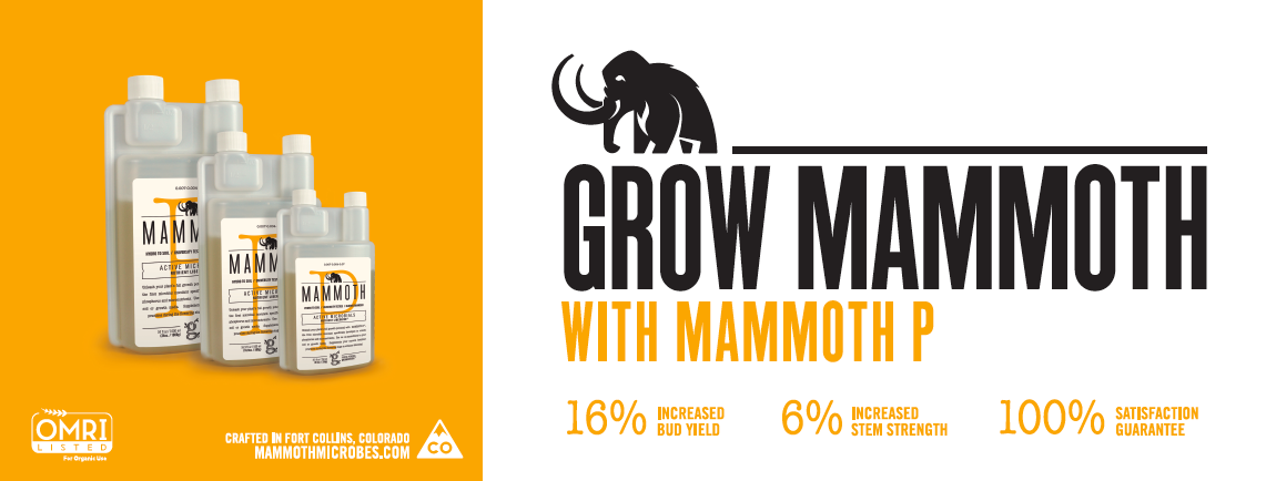 Mammoth P Microbial Inoculant 120ml 250ml 500ml 1L 5L Hydroponic ...