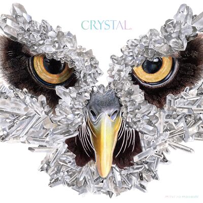 [CD] CRYSTAL. Normal Edition Miteinohanashi TFCC-81065 J-Pop Anime ...