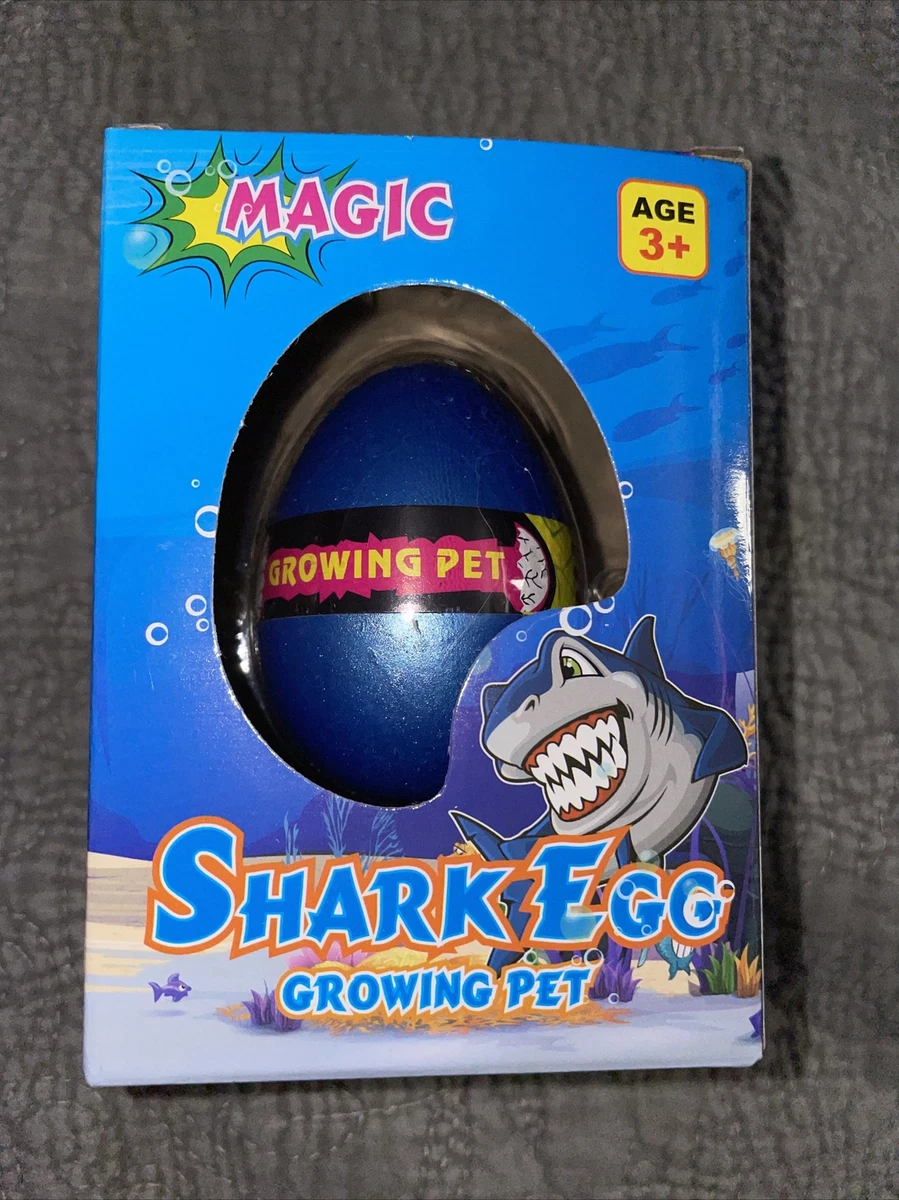Pet Shark