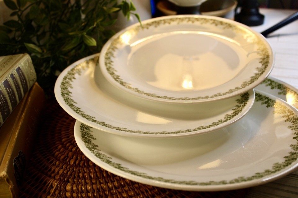 Corelle SPRING BLOSSOM CRAZY DAISY Green Flowers 4 plate Set dinnerware ...