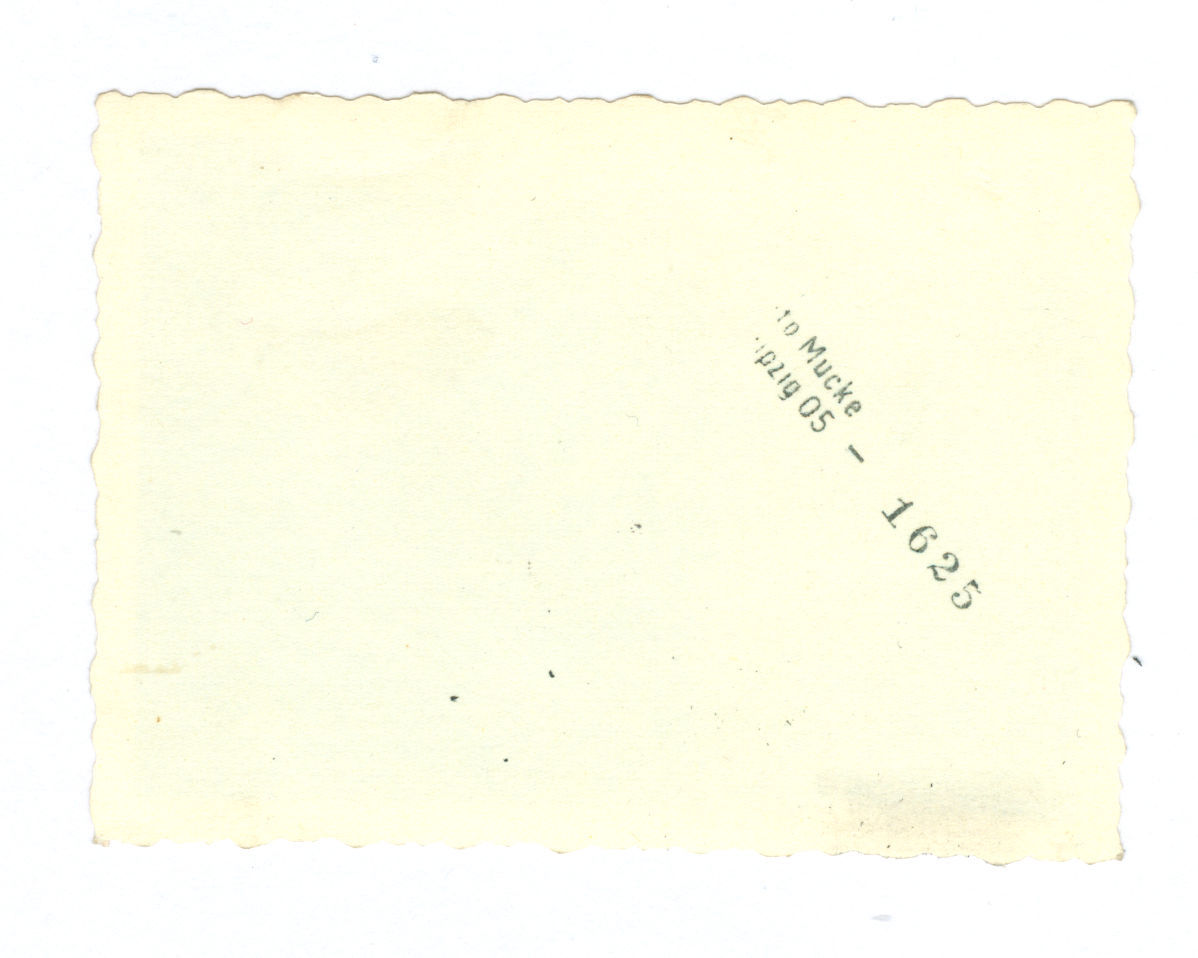 German Soldiers in slit trench, WW2, Original Photo | eBay