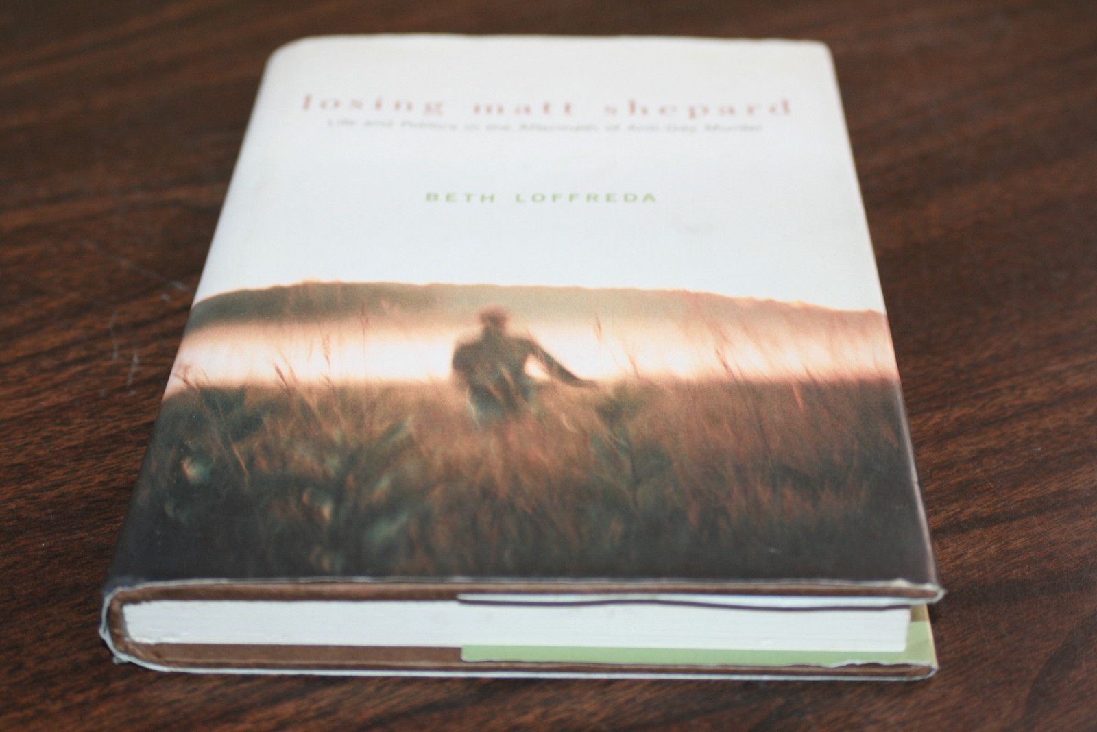 Losing Matt Shepard : Life and Politics in the Aftermath of Anti-Gay ...