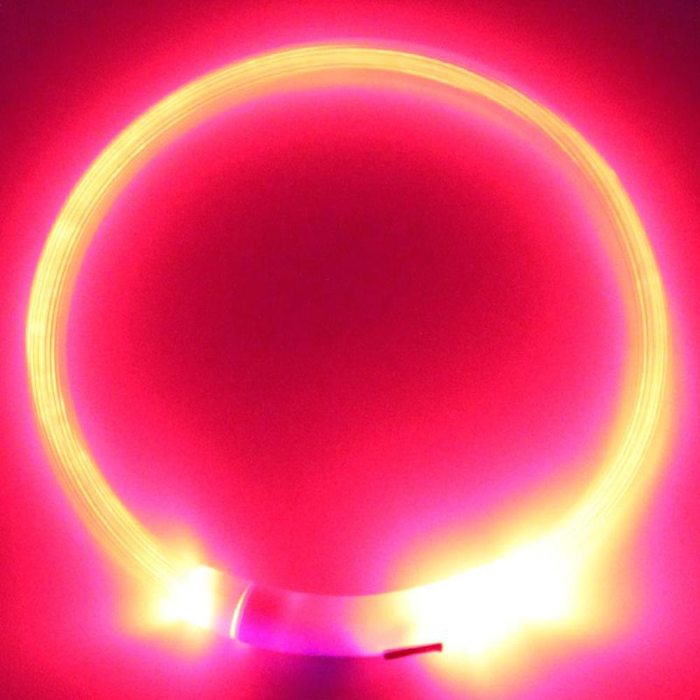 RECHARGEABLE LED PET GLOW TUBE COLLAR dog cat safety neck flash light ...