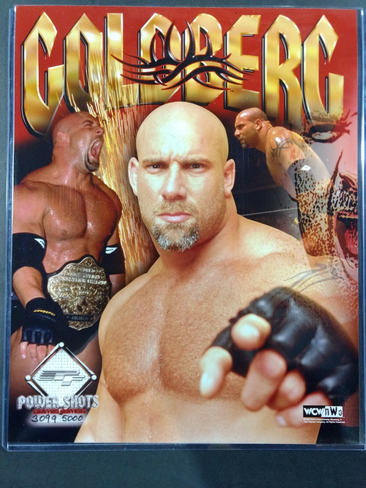 GOLDBERG WWE WCW Power Shots LIMITED EDITION 8 X 10 WRESTLING PHOTO | eBay