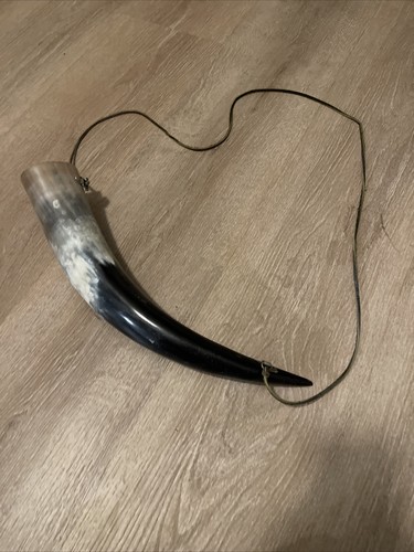 Vintage Large Open Hollow Empty Bull Powder Horn on A3 | eBay