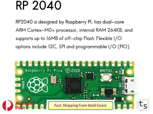 Raspberry Pi Pico 2040 Dual Core | eBay Australia