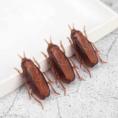 2PCS Funny Cockroach Toy Pet Cat Puppy Toys Pet Cats Dogs Puppy ...