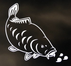 FEEDING MIRROR CARP 11 x 12cm Fishing Sticker in White for Car & Vans ...