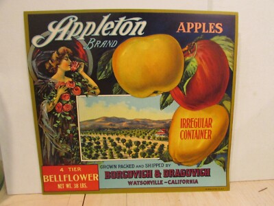 Vintage Appleton Brand Apples Fruit Crate Label Watsonville California ...