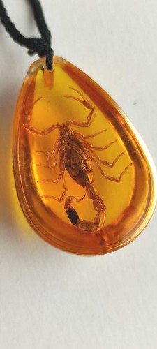 Insect Scorpion Amber Pendant Necklace Amberoid Necklace ph675 | eBay UK